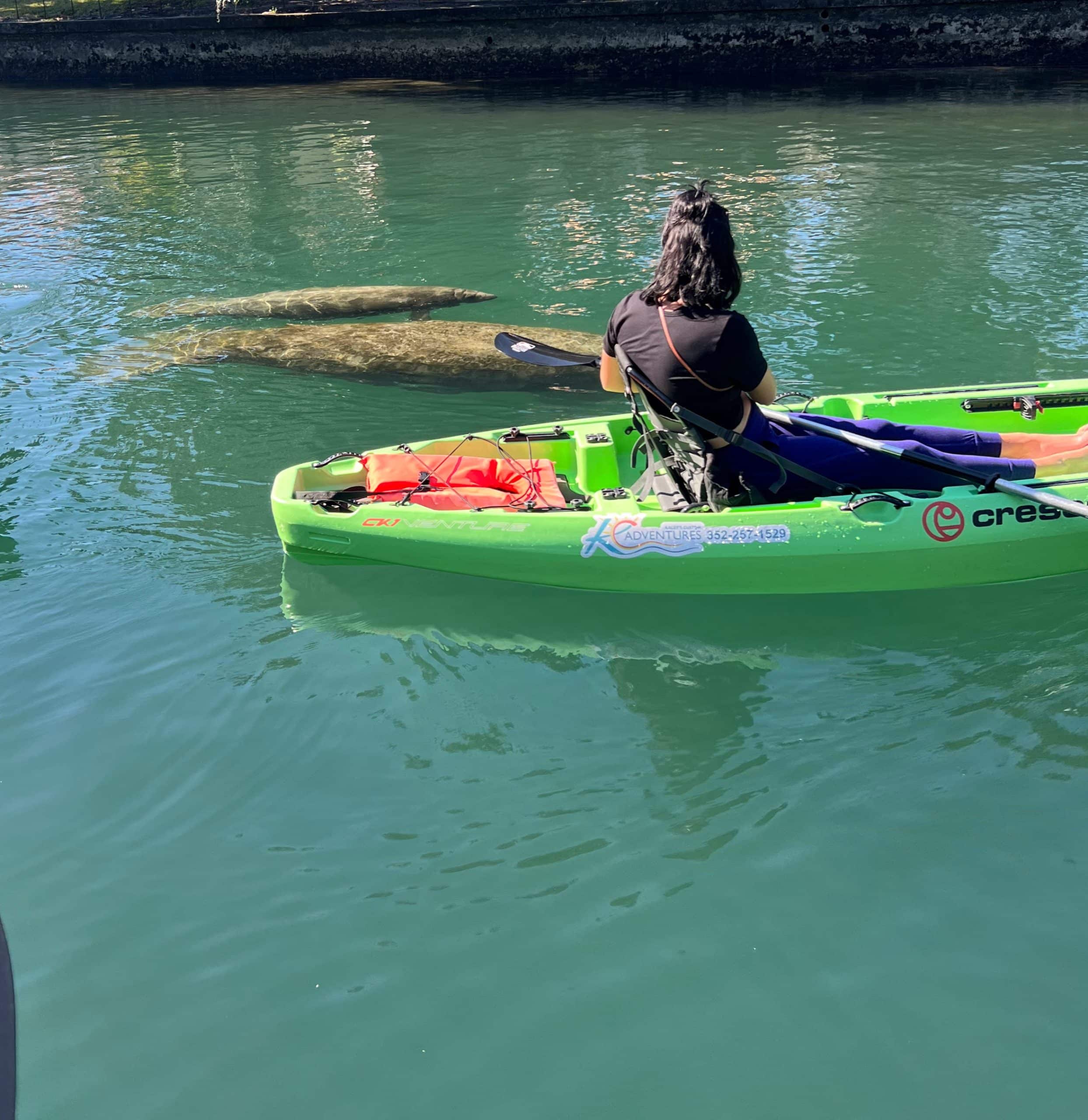 Crystal River Manatee Season Kayak Tour | Manatee Kayak Tours