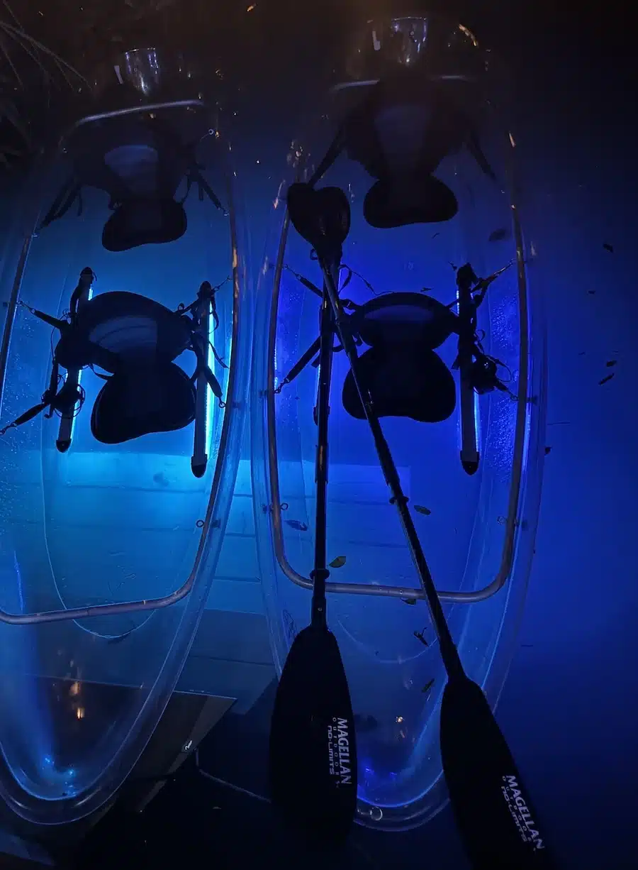 Crystal River Sunset + Glow Clear Kayak Manatee Tour - Kacey's Custom ...